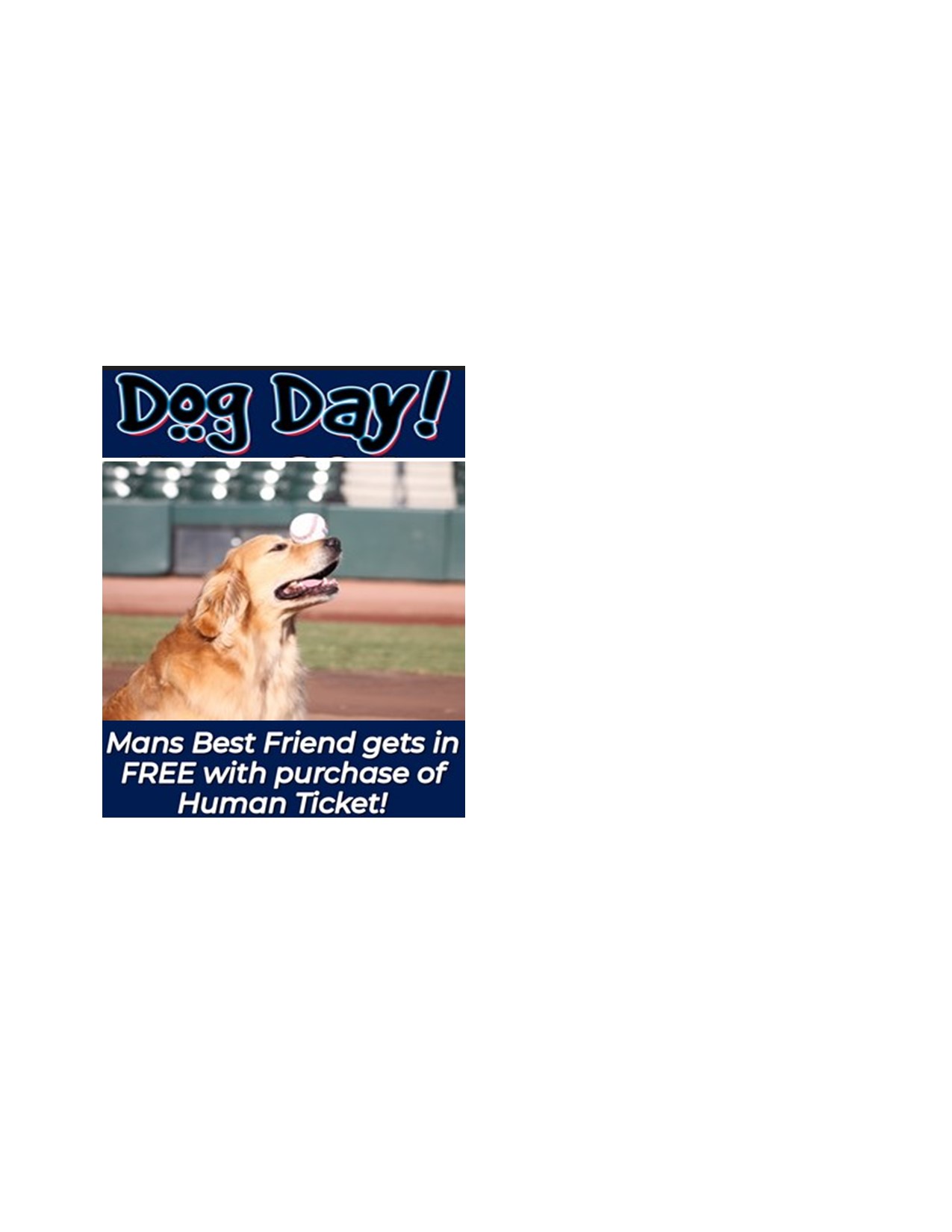 Abacoa POA | Roger Dean Dog Days of Summer @ Ball Park of the Palm Beaches
